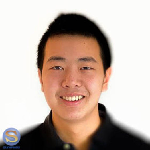 Achievements 2019 – 2020 | Olympiads School