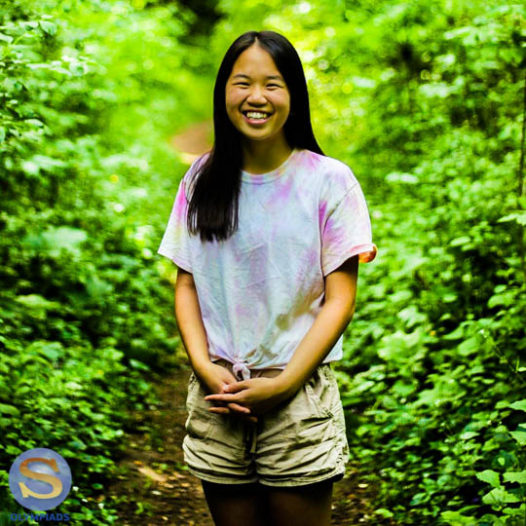 Achievements 2019 – 2020 | Olympiads School