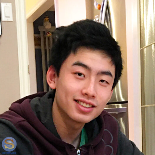 Achievements 2020 – 2021 | Olympiads School